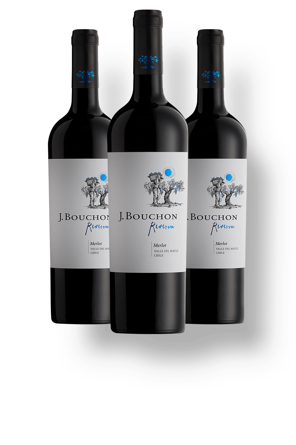 Vinho Kit 3 Bouchon Reserva Merlot - World Wine