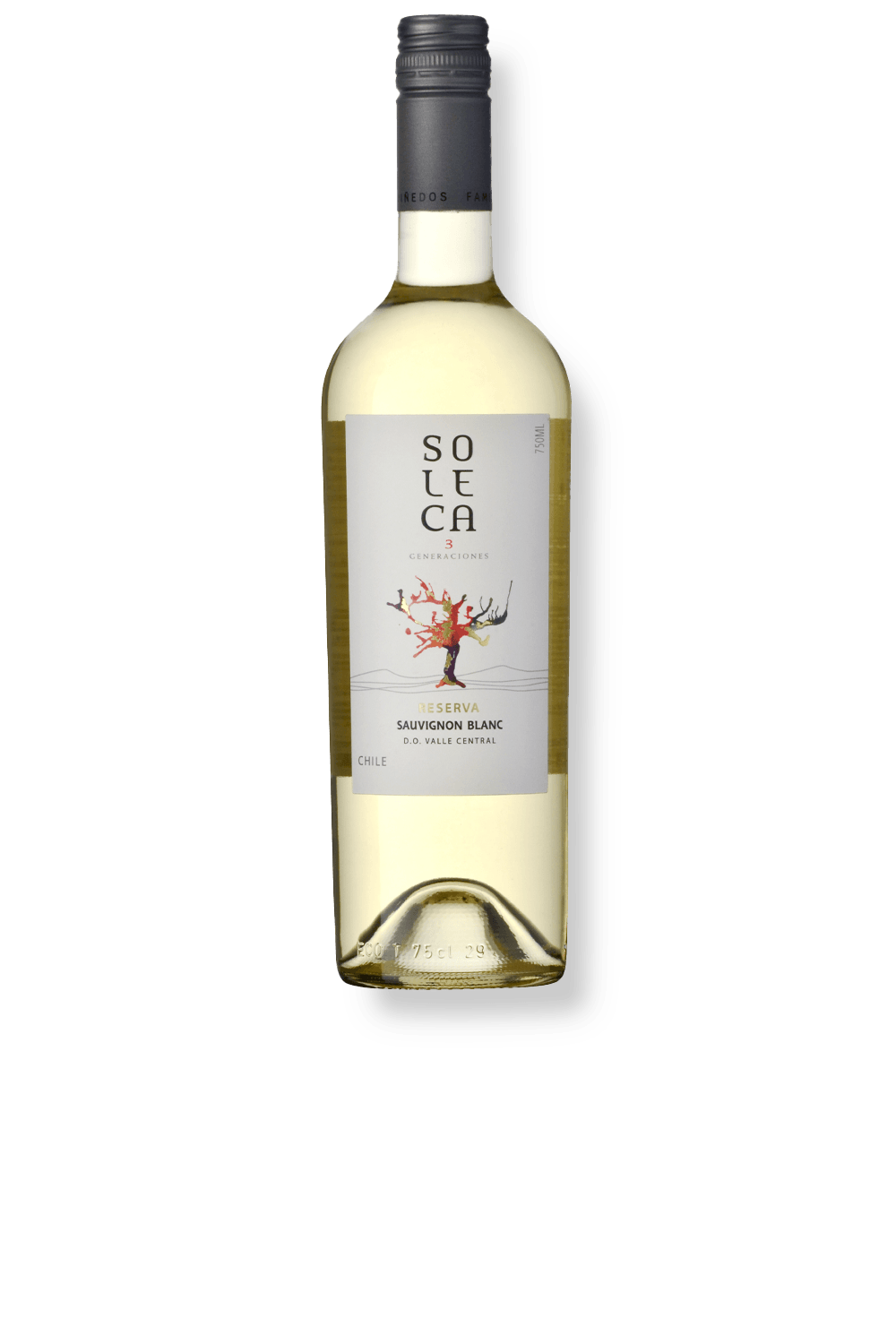 Soleca Reserva Sauvignon Blanc - World Wine