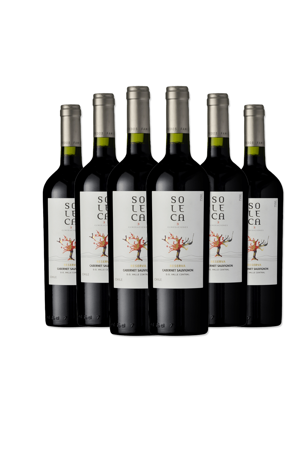 Kit 6 Soleca Reserva Cabernet Sauvignon - World Wine