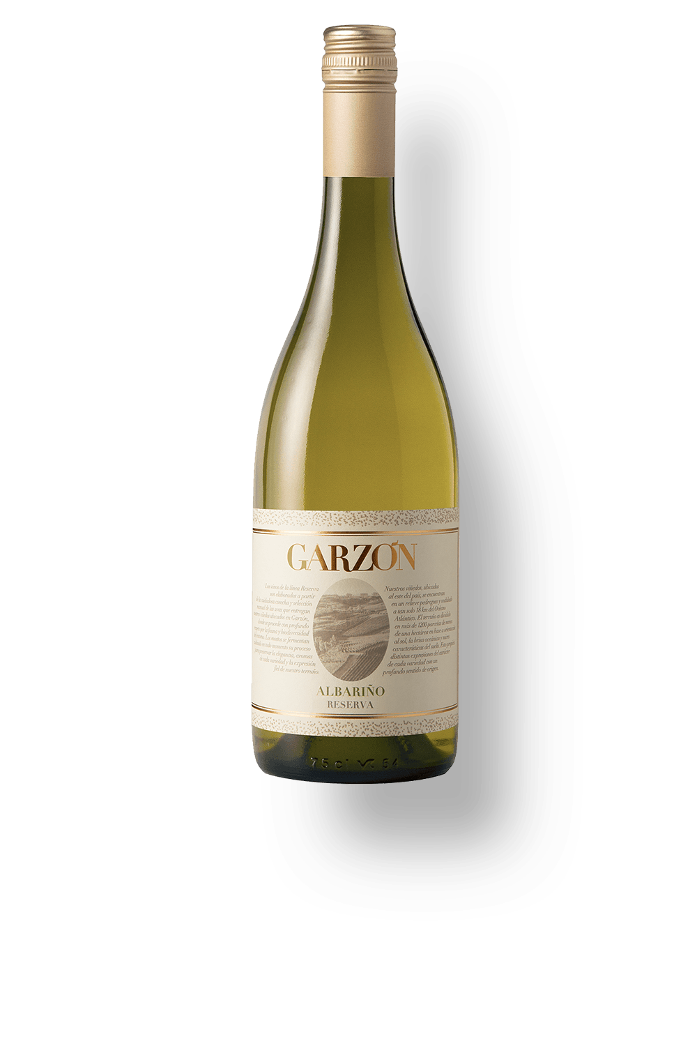 Garzón Reserva Albariño - World Wine