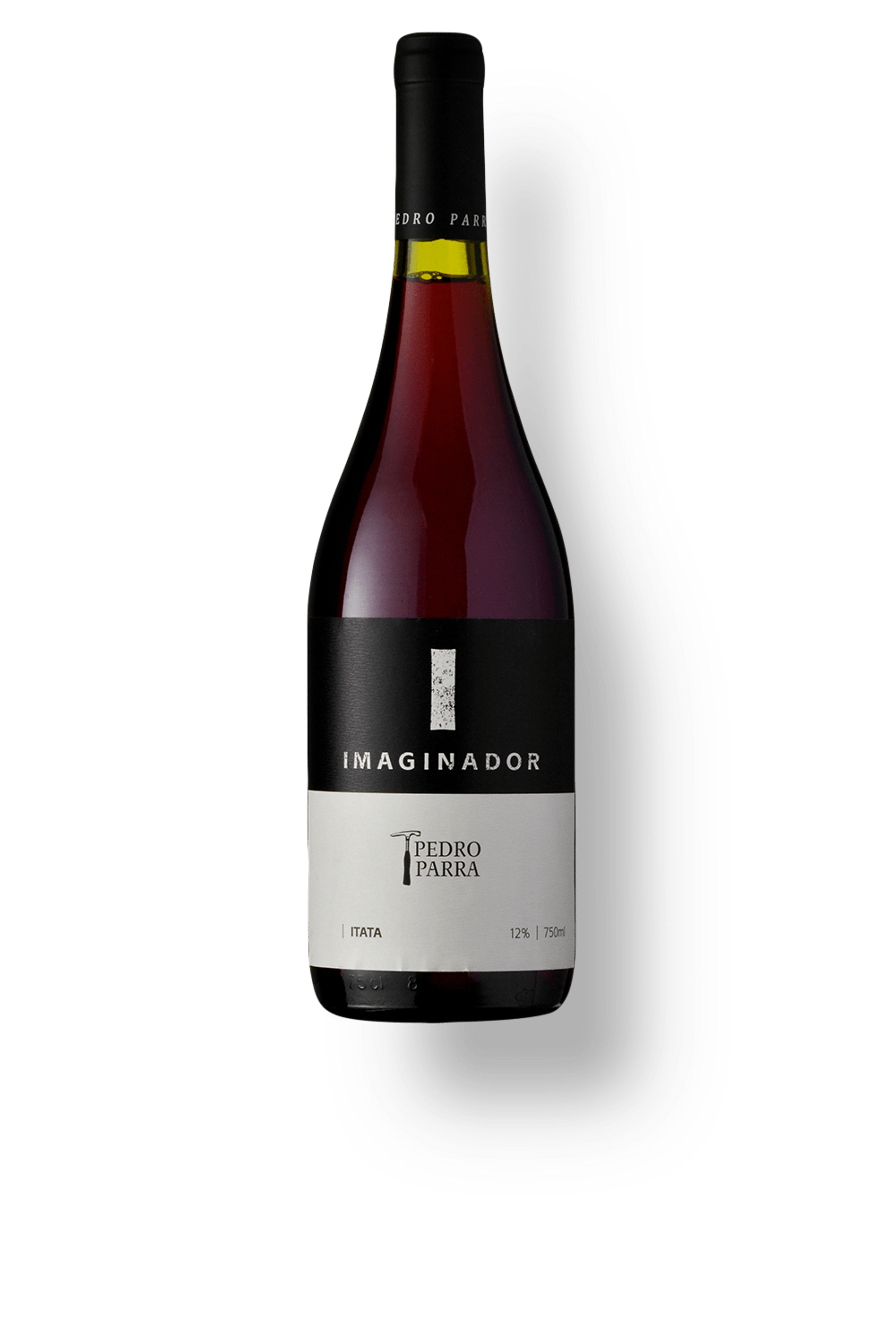 Pedro Parra Y Familia Imaginador - World Wine