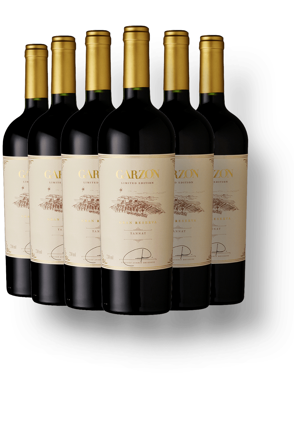 Kit 6 Garzón Gran Reserva Tannat - World Wine